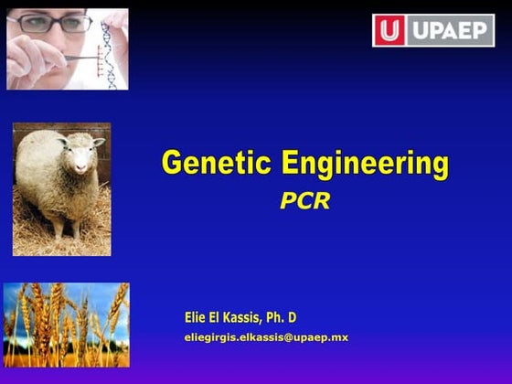 Nested pcr | PPTX