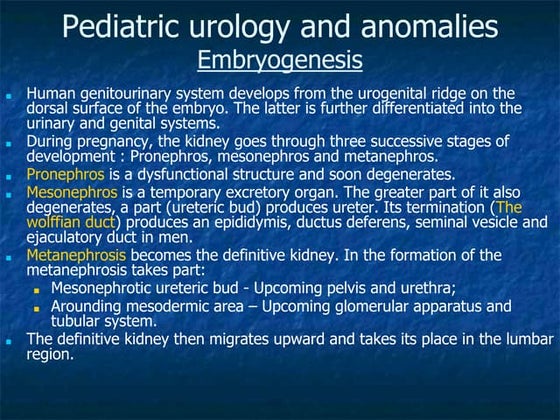 Best Pediatric Urologist in Delhi for Genito-Urinary Care.pptx