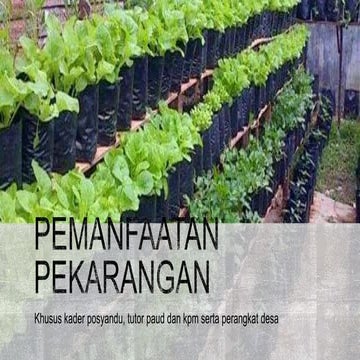 3 Pekarangan.pptx