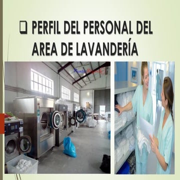 Perfil de personal del área de lavandería | PDF