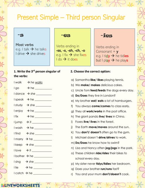 Purplesiamesesiam presentations