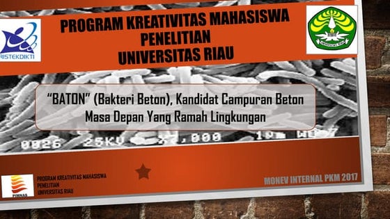 2 PPT PKM-P BATON111111111111111111.pptx