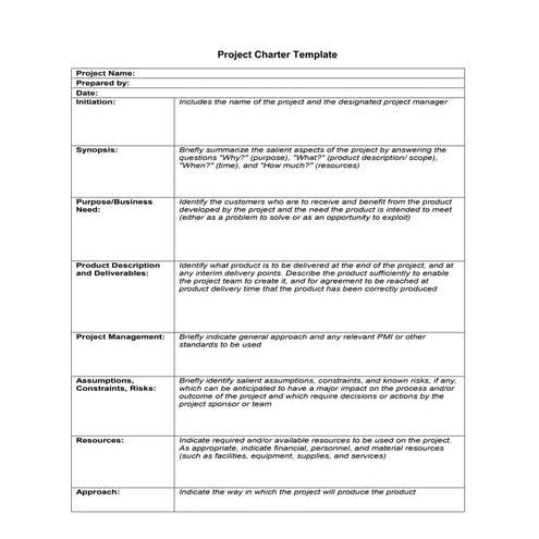 3 project charter template | DOC | Business | Business and Finance