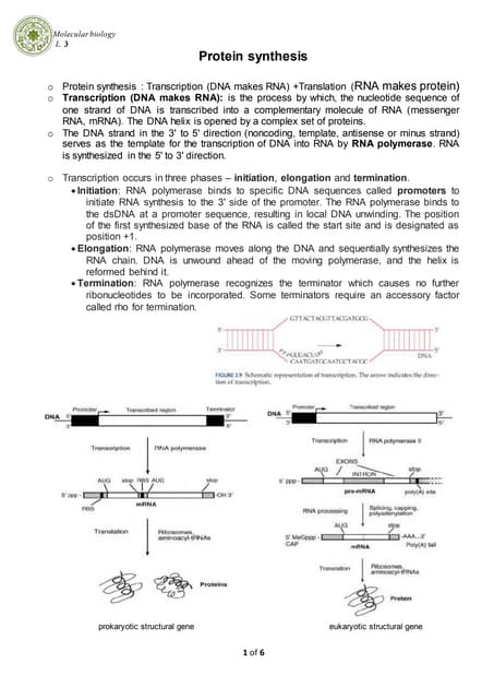 RNA SPLICING | PPT