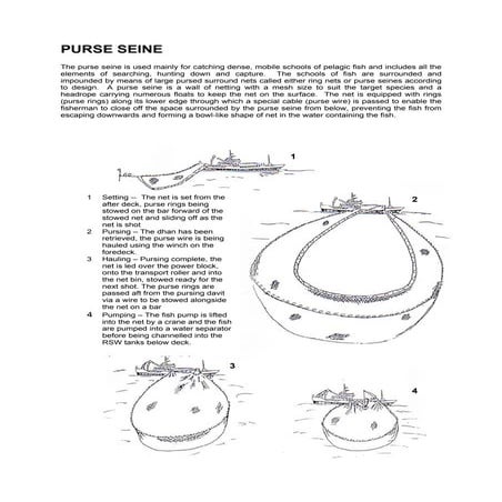 3 purse seine 8 | PDF
