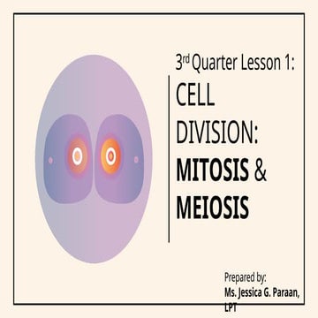 3Q Gen BioLesson 1- Mitosis and Meiosis.pptx