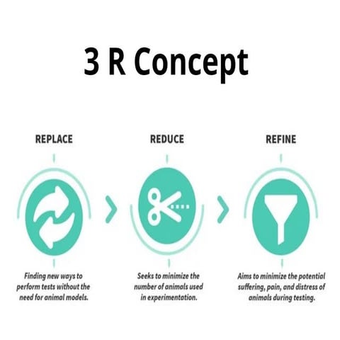 3R.pptx experimental pharmacology screening | PPT