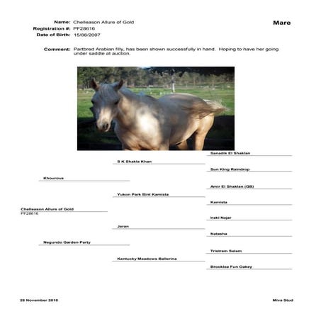 3rd Draft | PDF