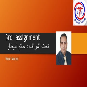 3rd assignment nour murad.pdf