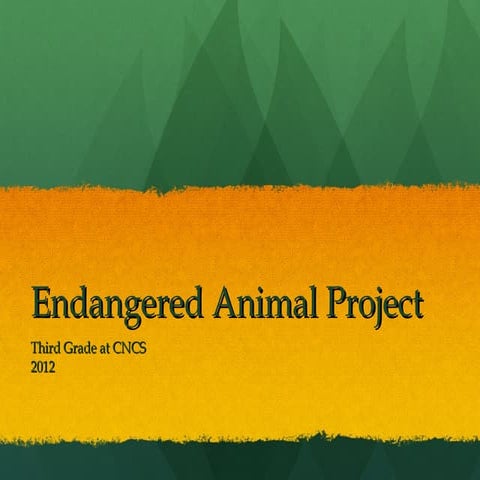 3rd Grade Endangered Animal Project | PPT