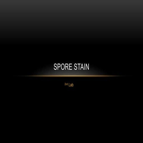 bacterial spore.ppt
