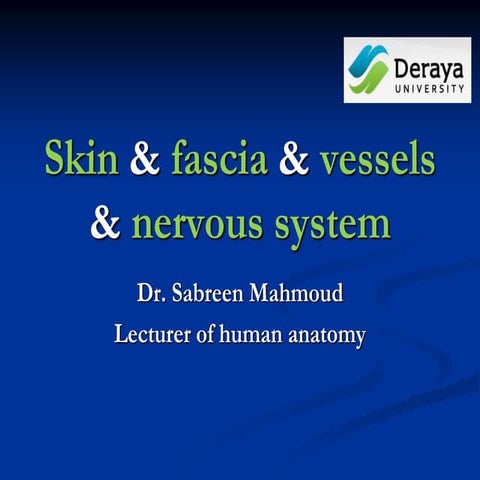 skin,fascia,vessels,lymphatics,nervous system,Dr.sabreen mahmoud | PPTX