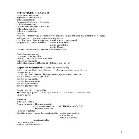 3rd lecture git | PDF