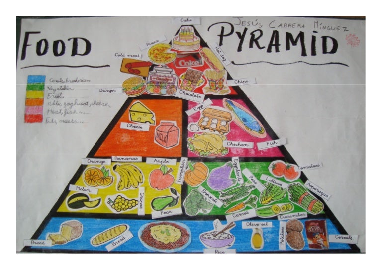 3rd level food pyramid project