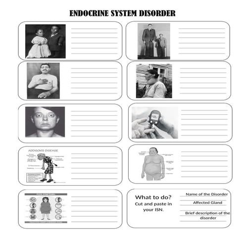 Endocrine System Disorder 3rdQtr Worksheets#1.docx