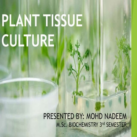 Plant Tissue Culture - Organogenesis | PPT