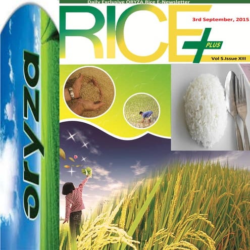 Rice – Logistics.pdf