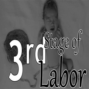 3rd stage of labor | PPTX