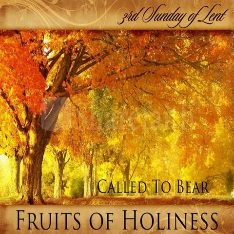 3rd Sunday Of Lent March 7 | PDF