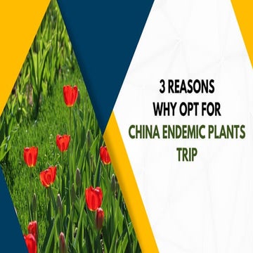 3 Best Places To See Wildflowers In China | PDF