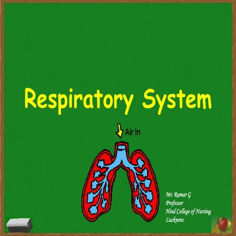 3 Respiratory System.ppt