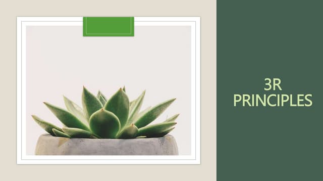 3 R - REDUCE REUSE RECYCLE FOR A SUSTAINABLE PLANET | PPTX