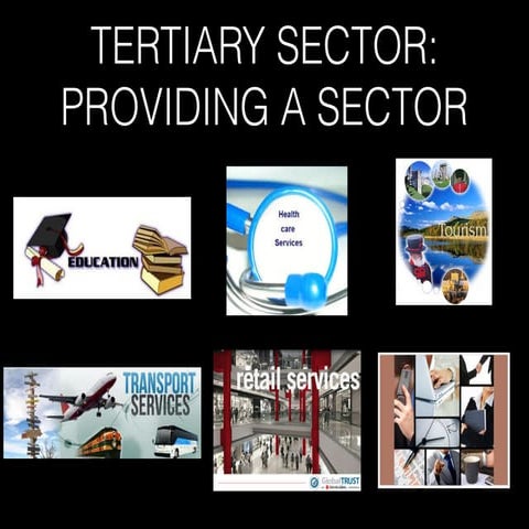 3º sector | PPT
