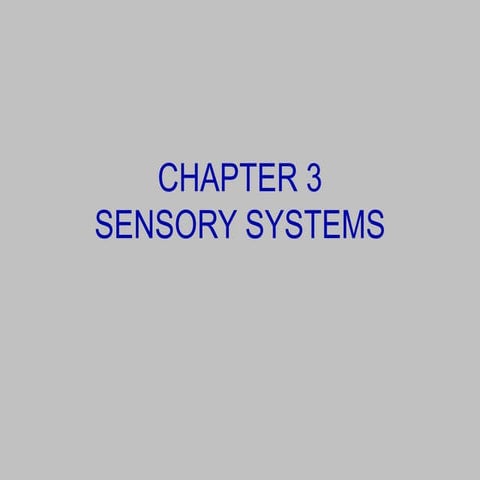 sensory system.ppt | Free Download