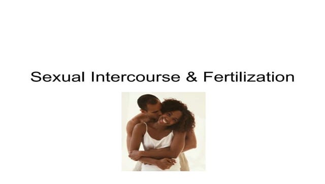 Human Intercourse Process Pictures