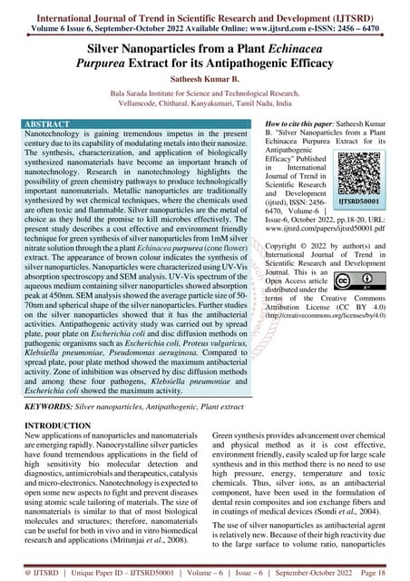 Silver Nanoparticles synthesis from leaf extract.pptx