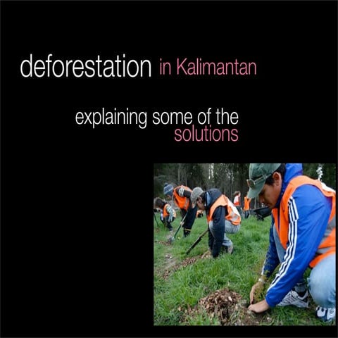 Deforestation (Selected solutions) | PDF