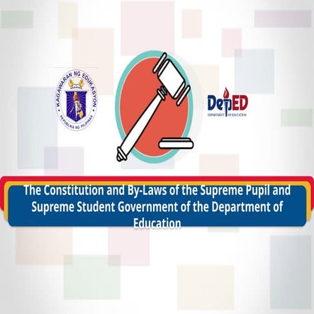 tHE IMPORTANCE AND ROLES OF THE SELG AND IT'S OFFICERS | PPTX