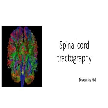 functional MRI Spinal Cord Tractography.pptx