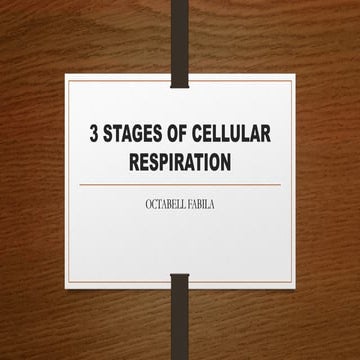 3 STAGES OF CELLULAR RESPIRATION ppt.pptx