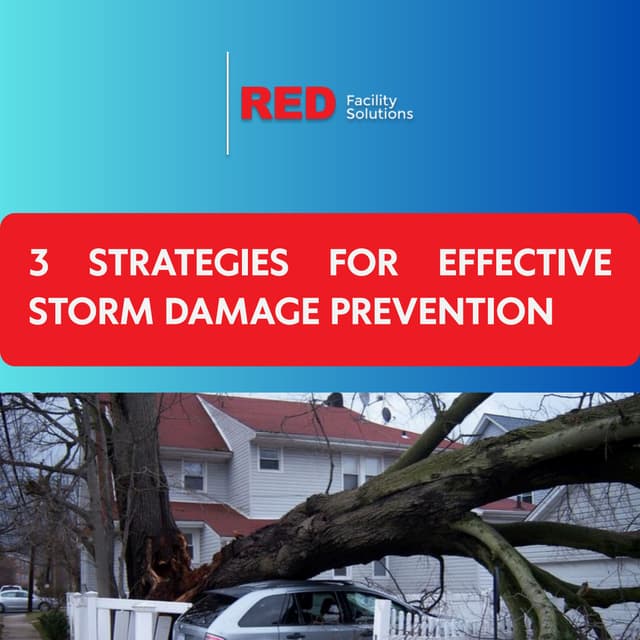 3 Strategies for Effective Storm Damage Prevention | PDF