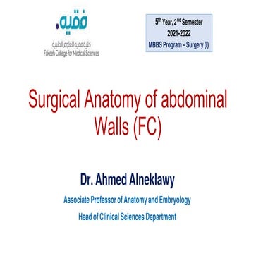 A full description of detailed Surgical _Anatomy_of the abdominal_Wall ...