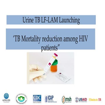 3 TB LAM roll out.pptx