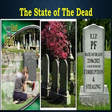 The Immortal Soul view and the Non-Immortal Soul view of the State of ...