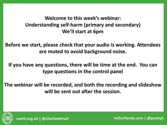 Self-Harm Alternatives – Over 130 Ideas for Use in Recovery | PPTX