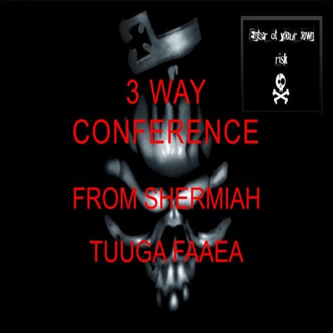 3 way conference | PPT