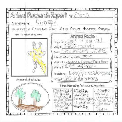 3 zoo reports 2015 | PDF | Zoos & Aquariums | Attractions