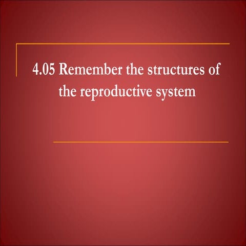 Structures of the Reproductive system | PPT