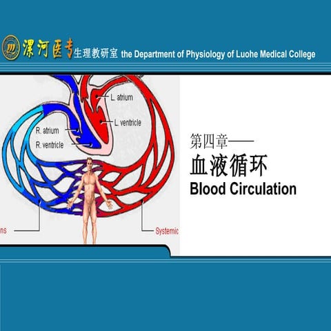 chapter4 Blood Circle | PPT