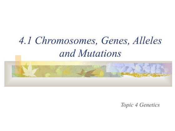Introduction to Genetics.ppt