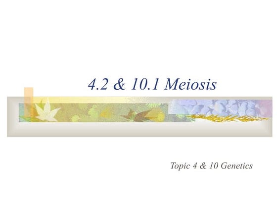 Cell Division-The Meiosis and its Stages | PPT | Infertility ...