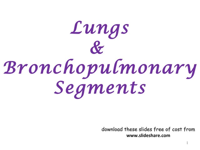 BRONCHOPULMONARY SEGMENTS RADIOLOGY AND IMAGING | PPTX