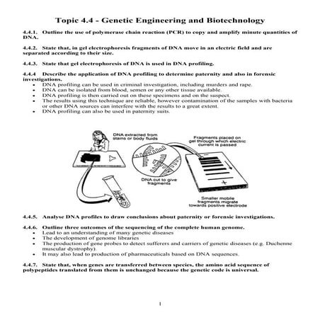 4.4 Biotechnology And Genetic Engineering | PPTX