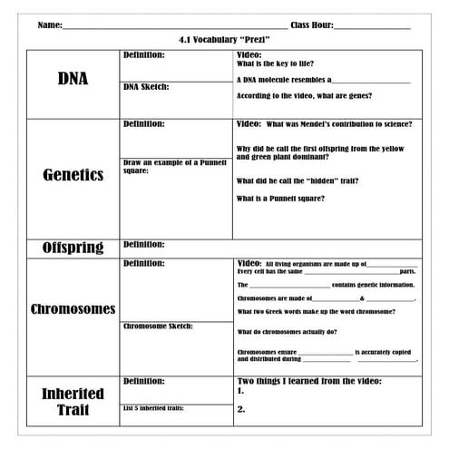 Dna structure and function notes | DOC