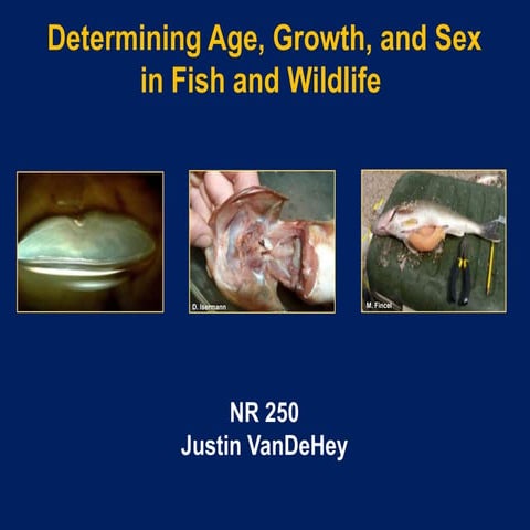 4. determining age, growth and sex of fish and wildlife | PPTX