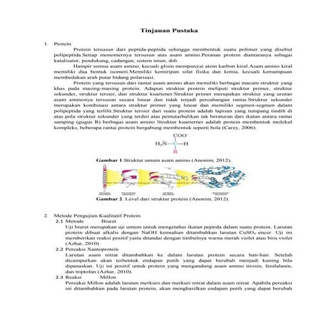Laporan Biokimia Praktikum Protein: Uji Unsur-Unsur Protein, Uji ...